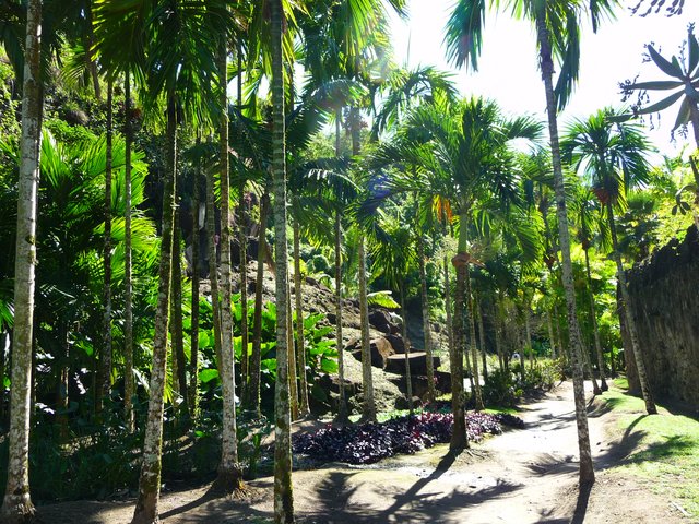 Tropical landscape and flower garden locations in the Caribbean